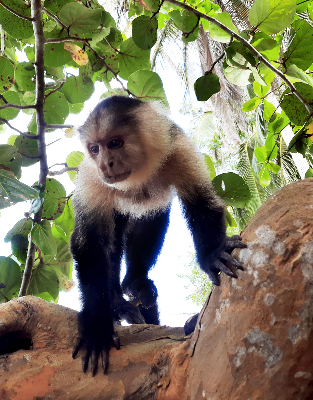 Filming in Costa Rica
